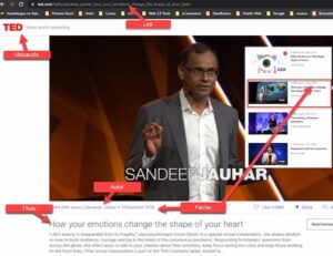 Citar en APA 7ma Edición TED Talks o Charlas TED - Creación de Sitios ...